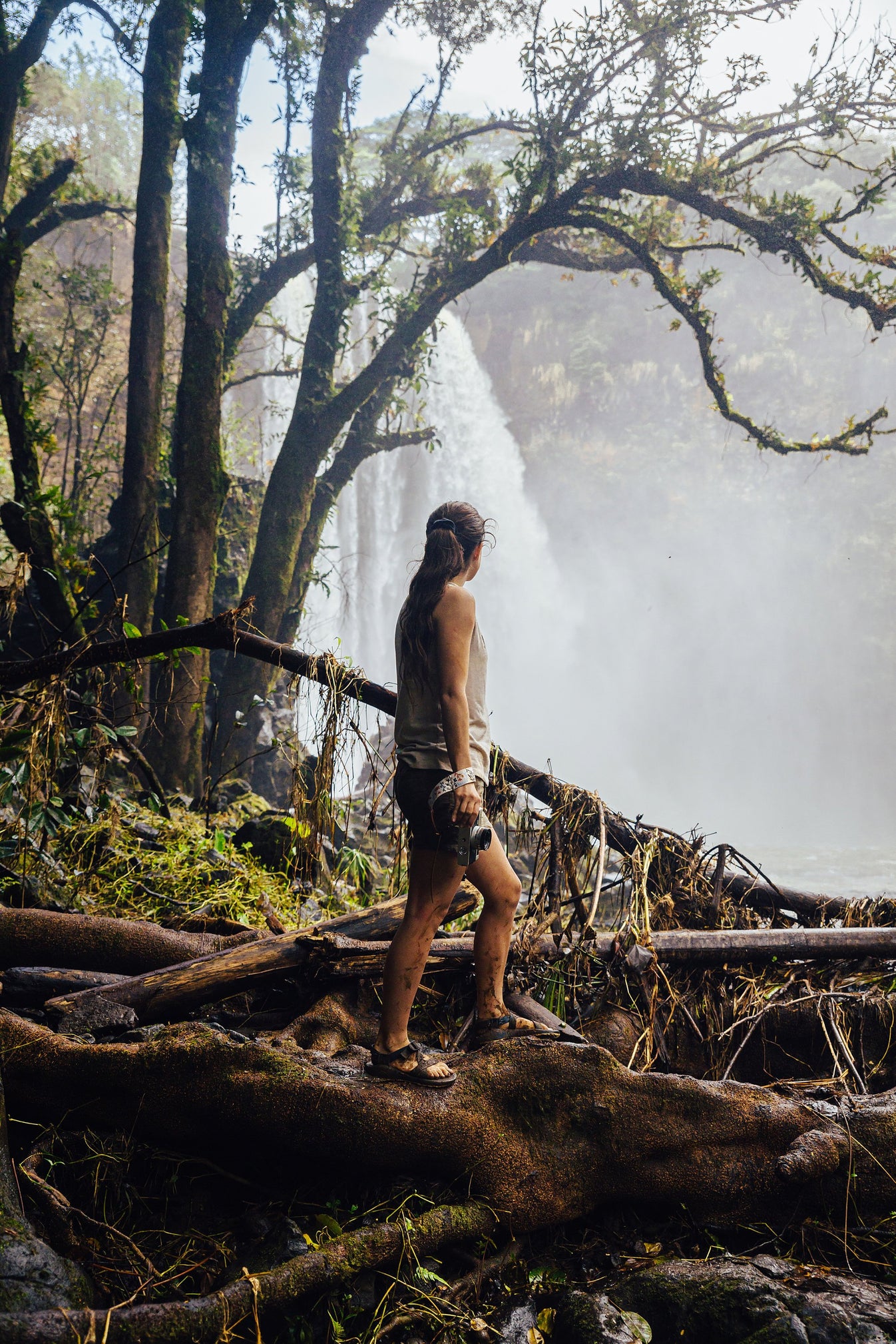 Wildflower Camera Wrist Strap – Wildtree